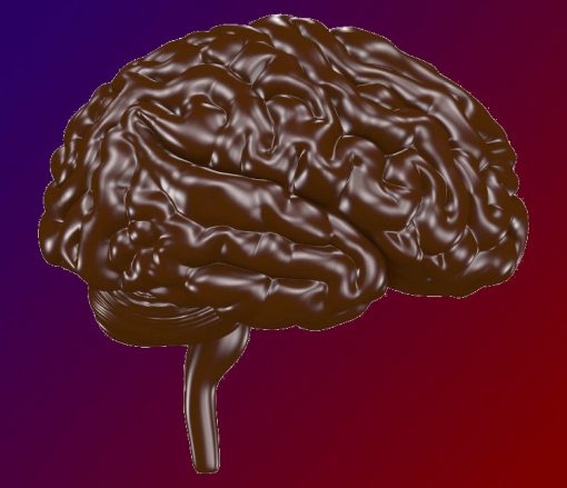 This is your brain on Chocolate – Violet Chocolates